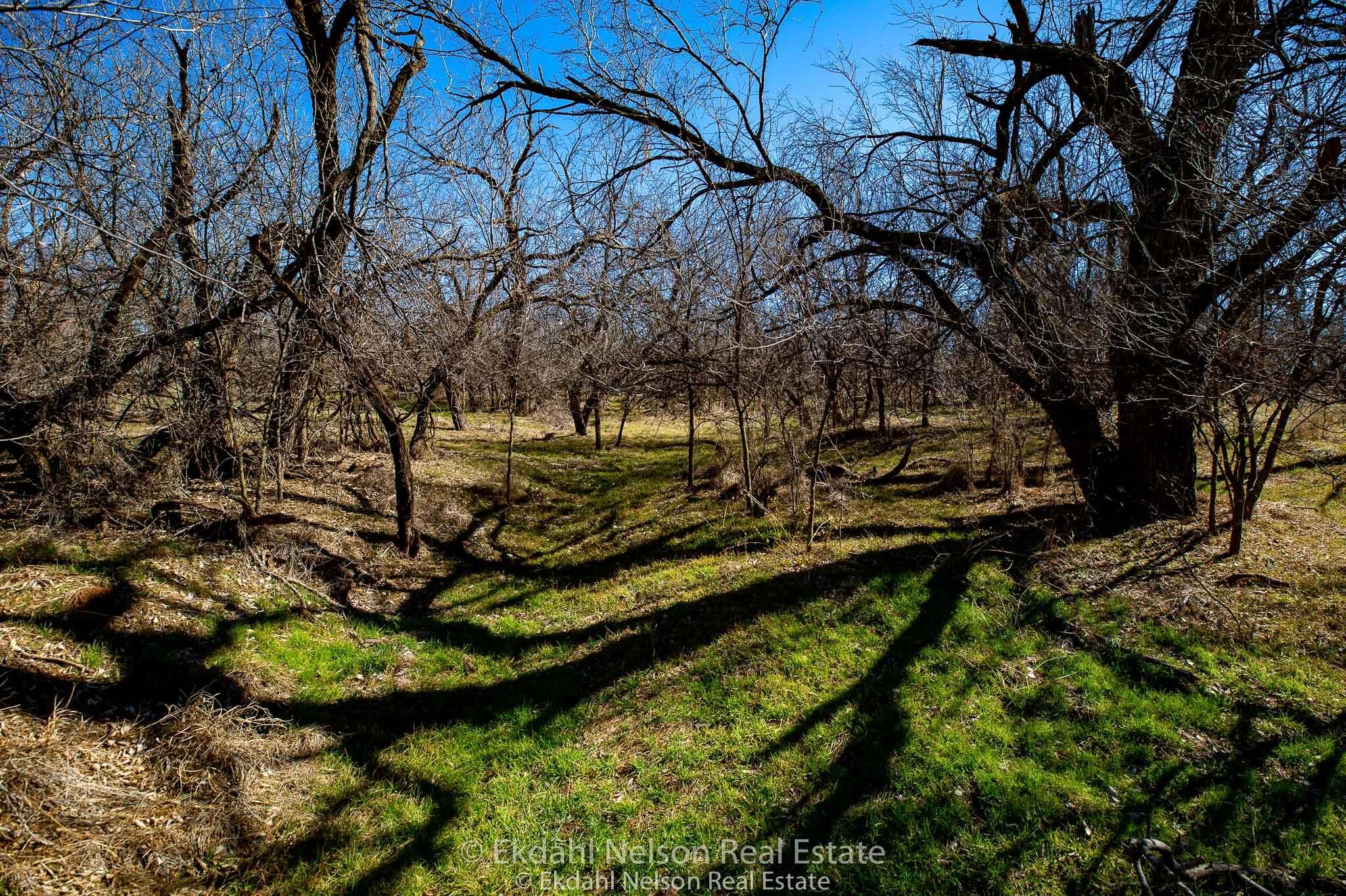 FM 126, Merkel, TX 79536 | Land and Farm