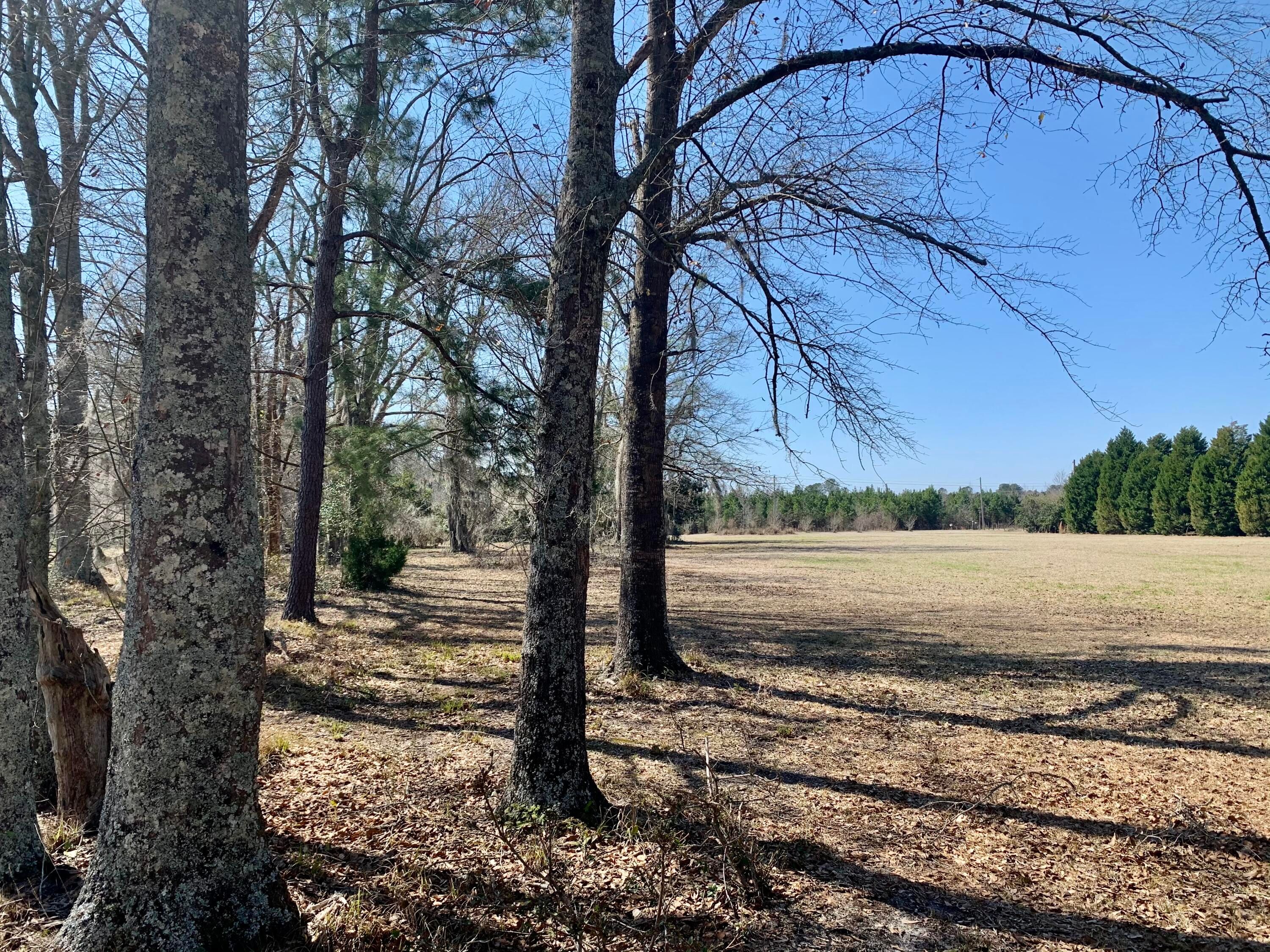 40 Acres, 651 Schaffer Corner Road, Varnville, SC 29944 | Land and Farm