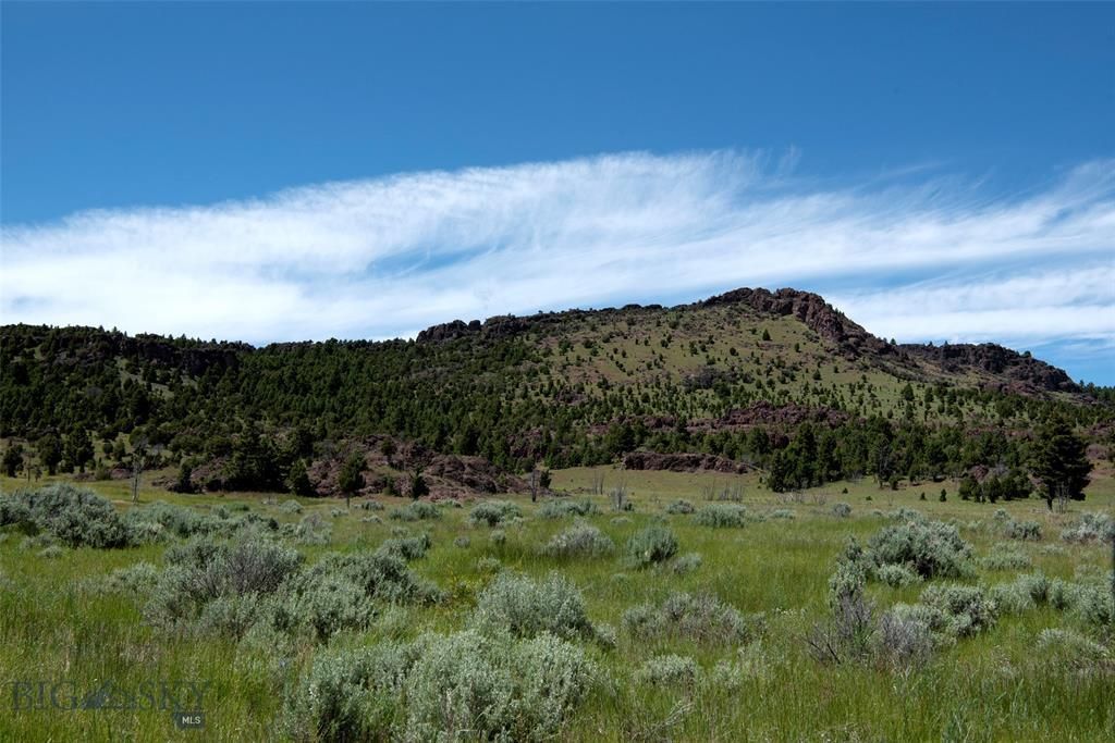 TBD FC Ranch, Ramsay, MT 59701 | MLS: 317456 | Land and Farm