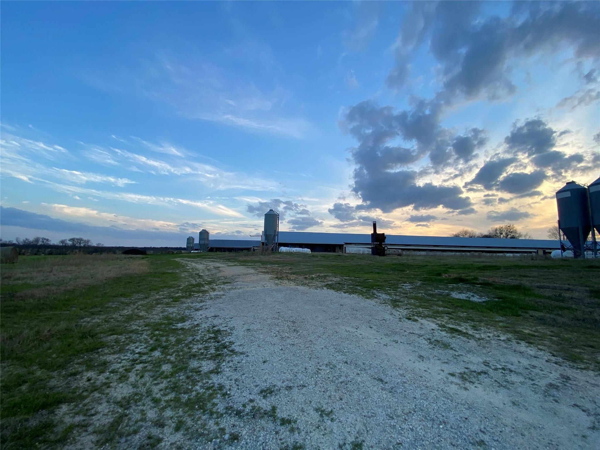 County Road 3310, Pickton, TX 75471 | MLS: 14525898 | Land and Farm
