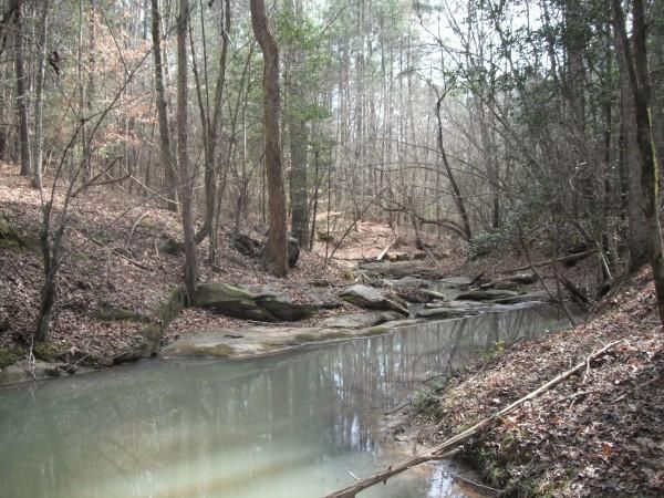 State Highway 213, Jenkinsville, SC 29065 | MLS: Parr Road Hwy 213 ...