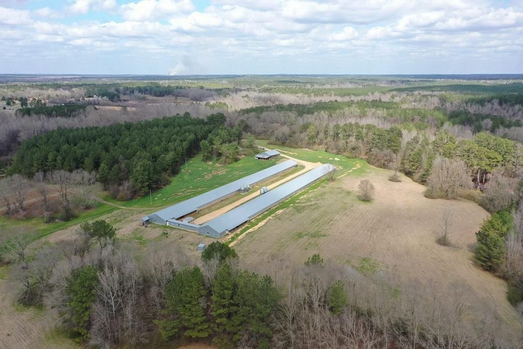 1419 State Hwy 17, Camden, MS 39045 | Land and Farm