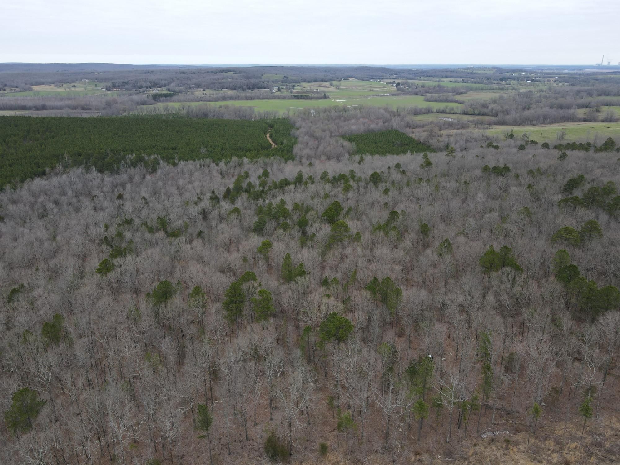 TBD Harwood Rd., Thida, AR 72165 | MLS: Independence 40 | Land and Farm
