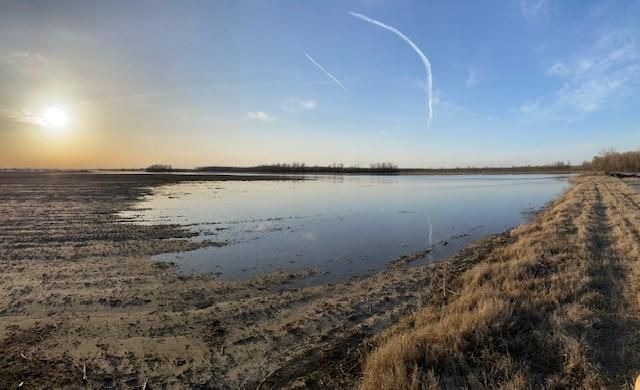 80 acres in Miller City, IL, 62962 | Land and Farm