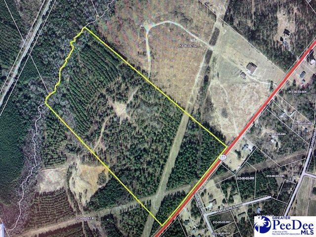 45 Acres, Hwy 177 45 ac tract, Wallace, SC 29596 | Land and Farm