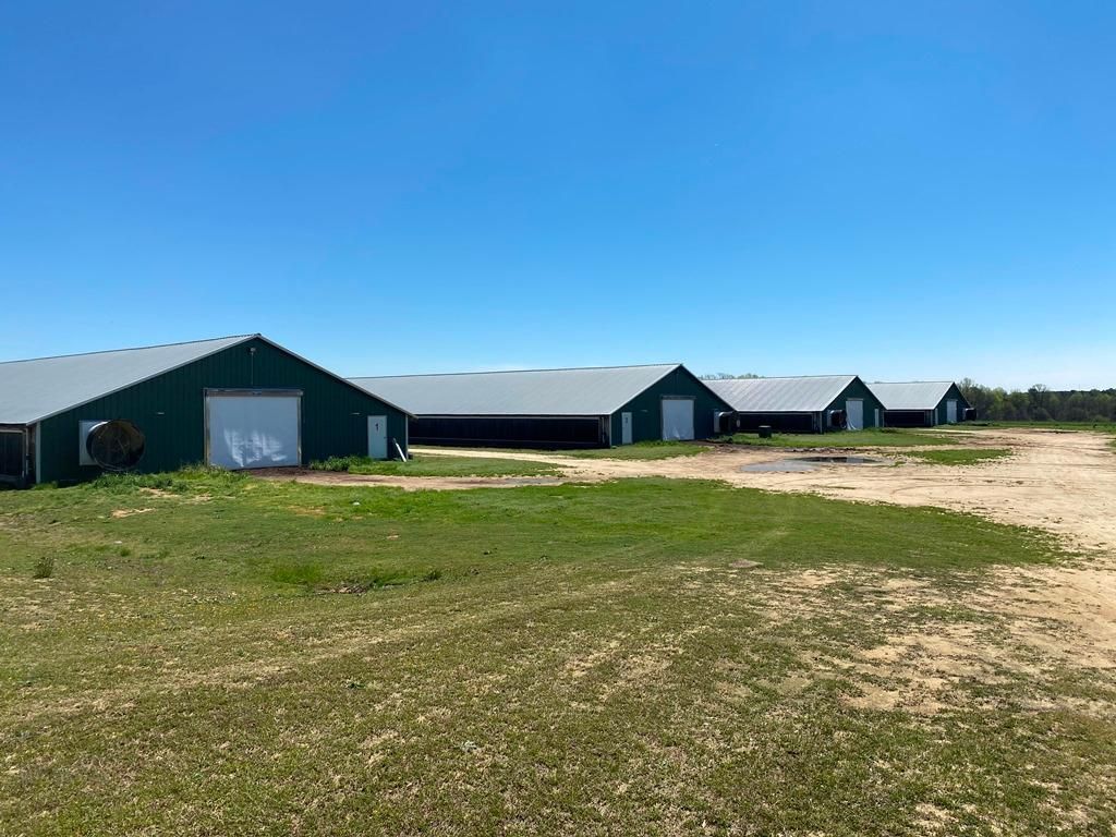 Capel Mill Road, Candor, NC 27229 | MLS: Mabe Chicken Farm | Land and Farm