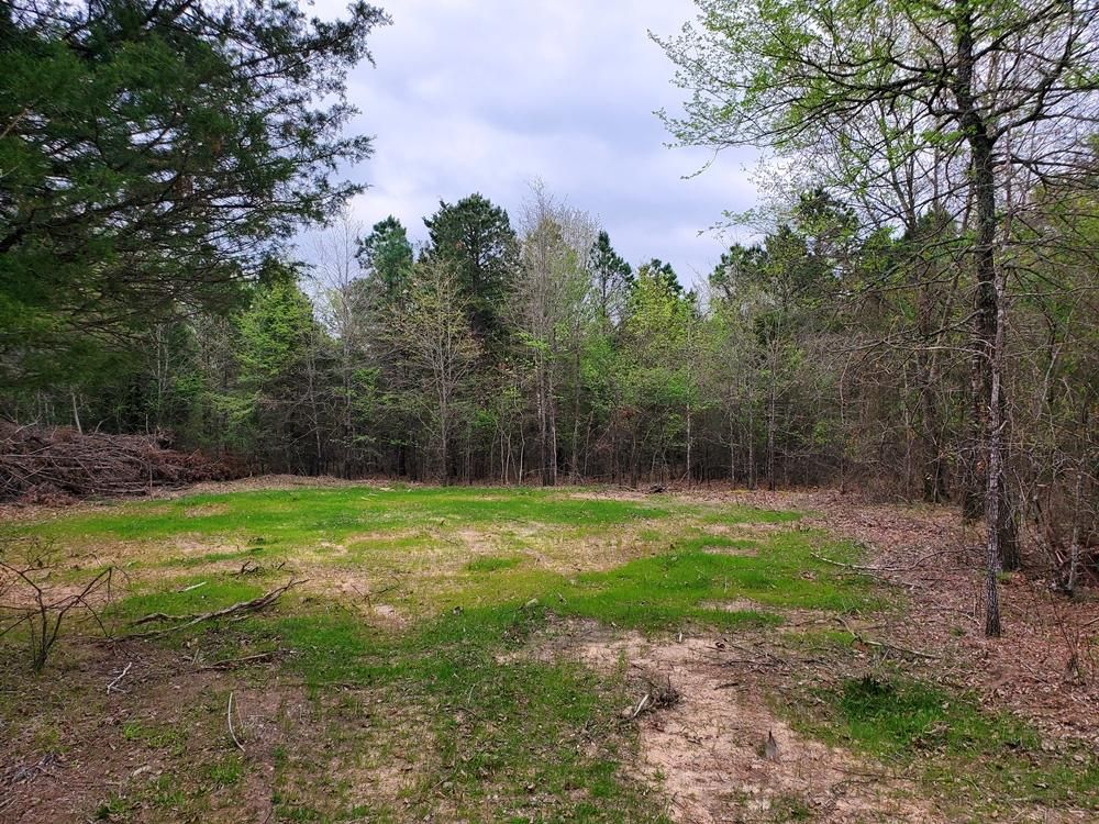 6.79 acres in Rattan, OK, 74562 | Land and Farm