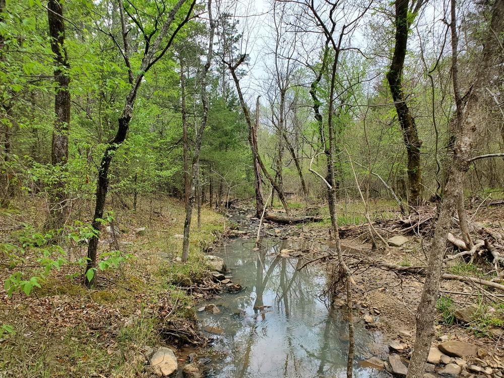 25.83 acres in Rattan, OK, 74562 | Land and Farm