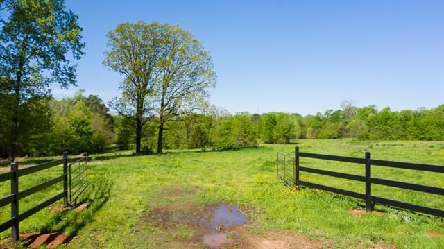 119.99 Acres, Tbd CR 4315, Cookville, TX 75558 | Land and Farm