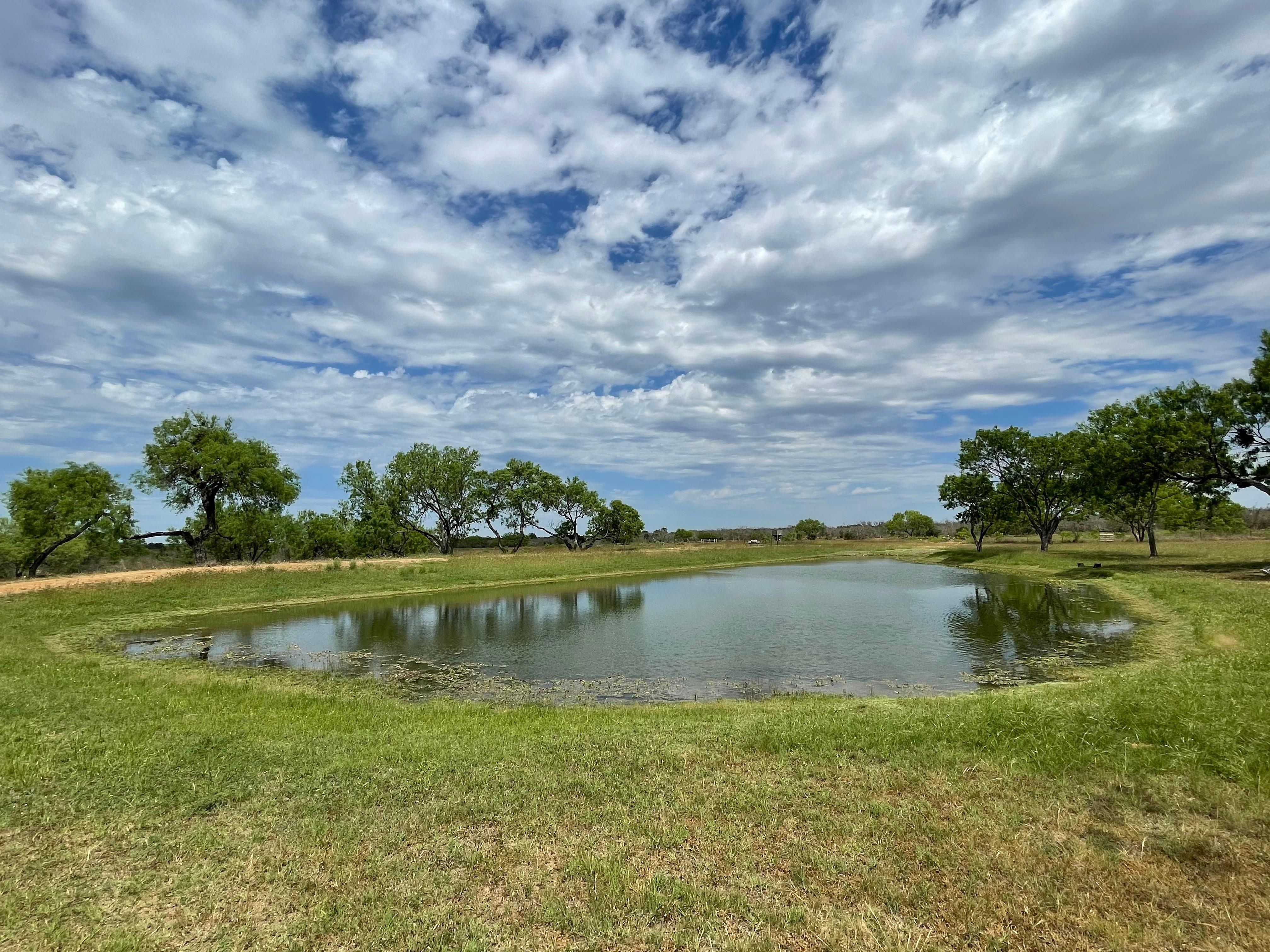 493 acres in Moore, TX, 78057 | Land and Farm