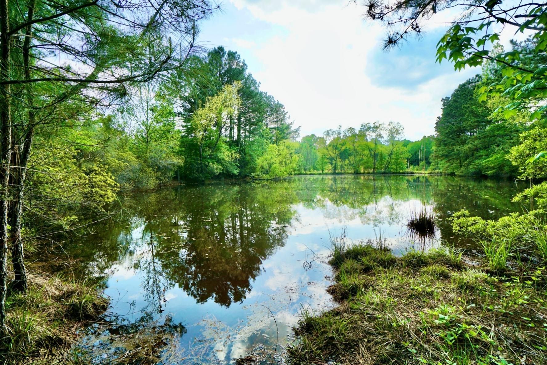 0 Hwy 157, Springhill, LA 71057 | Land and Farm