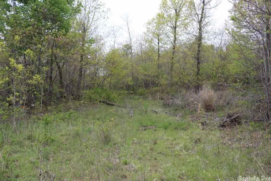 80 Acres, Timbo, AR 72680 | Land and Farm
