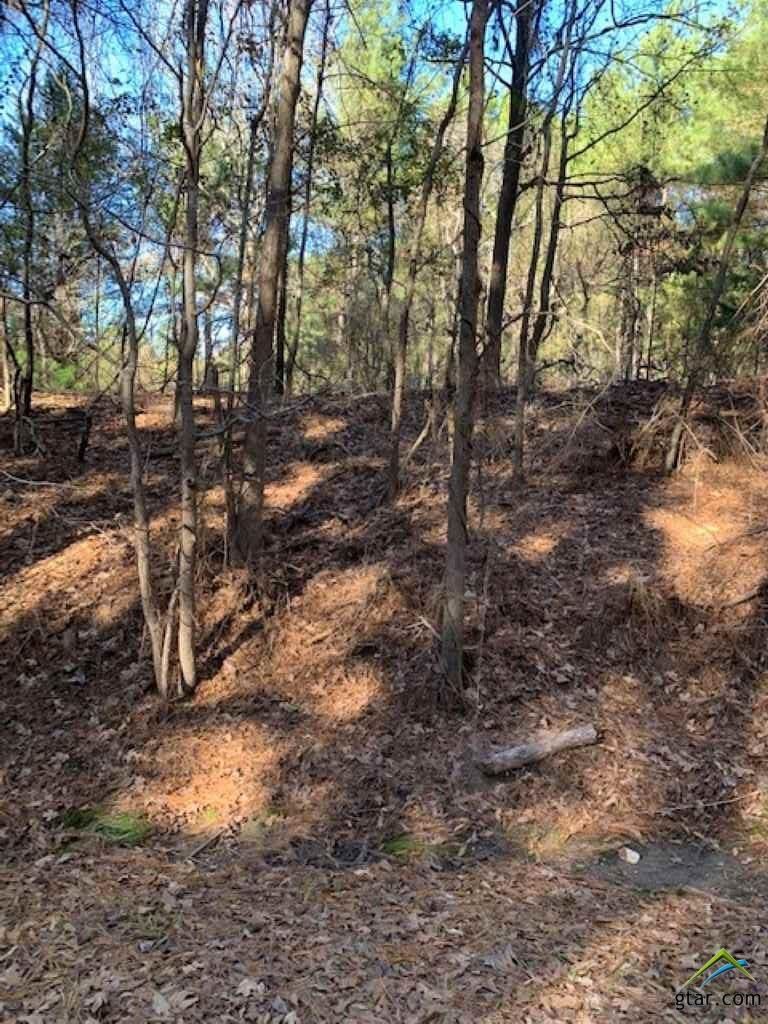 18245 CR 361 (19.5 acre), Winona, TX 75792 | MLS: 10129924 | Land and Farm