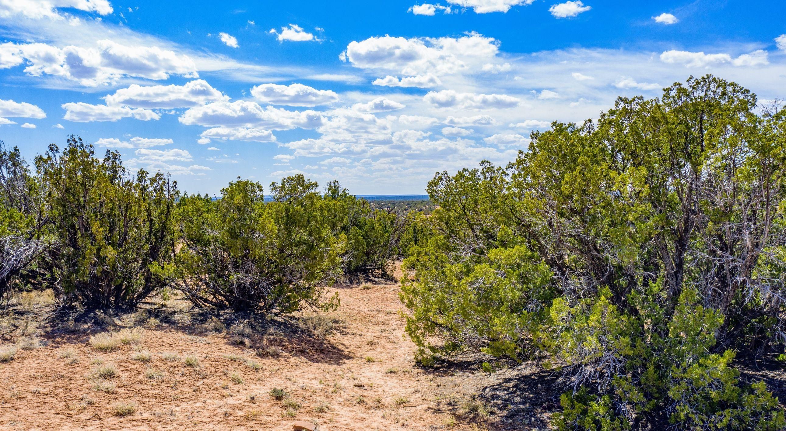 Witch Well Ranches Lot 35, Saint Johns, AZ 85936 | MLS: 20526035 | Land ...