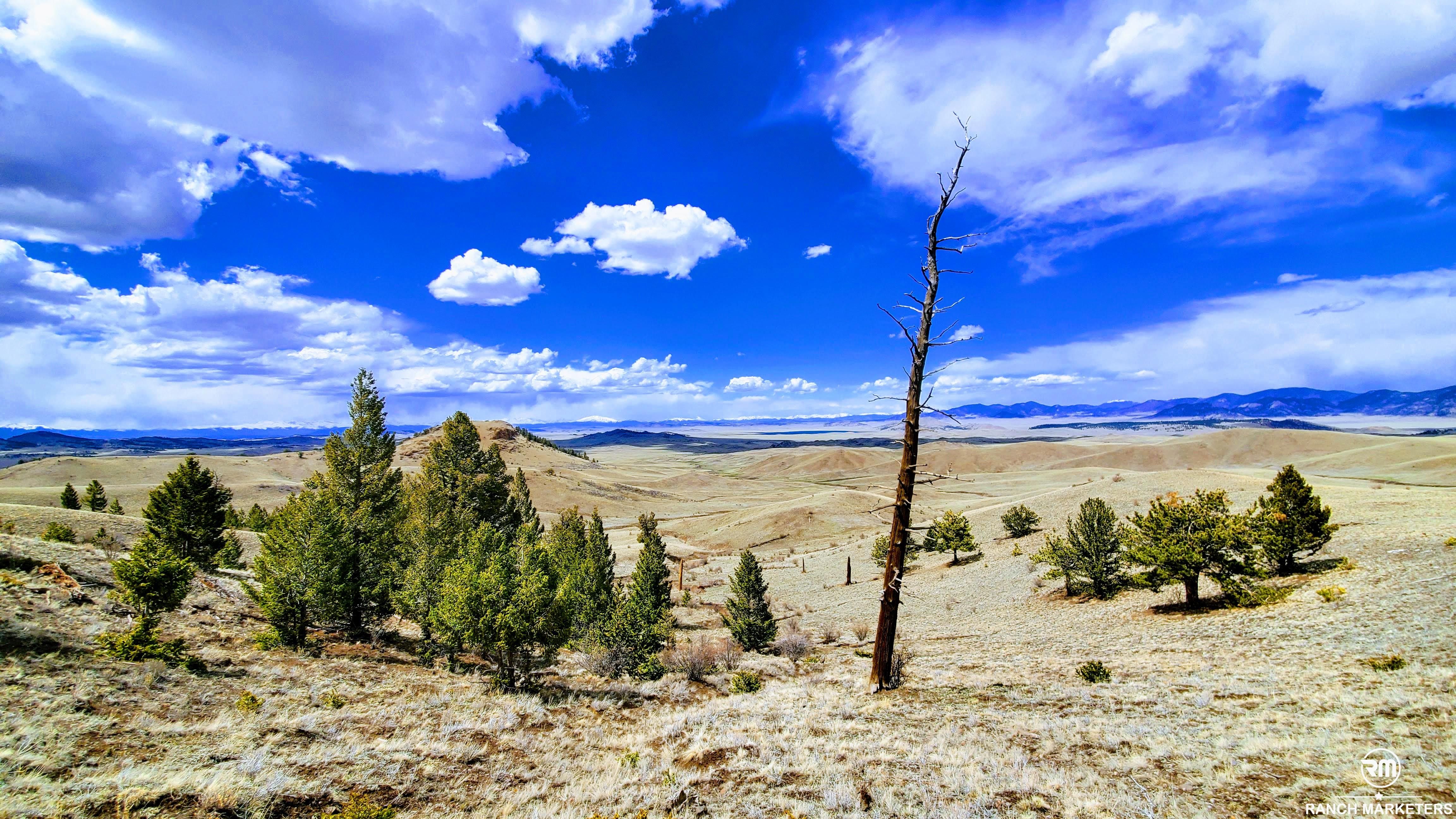 CR 118, Hartsel, CO 80449 | Land and Farm