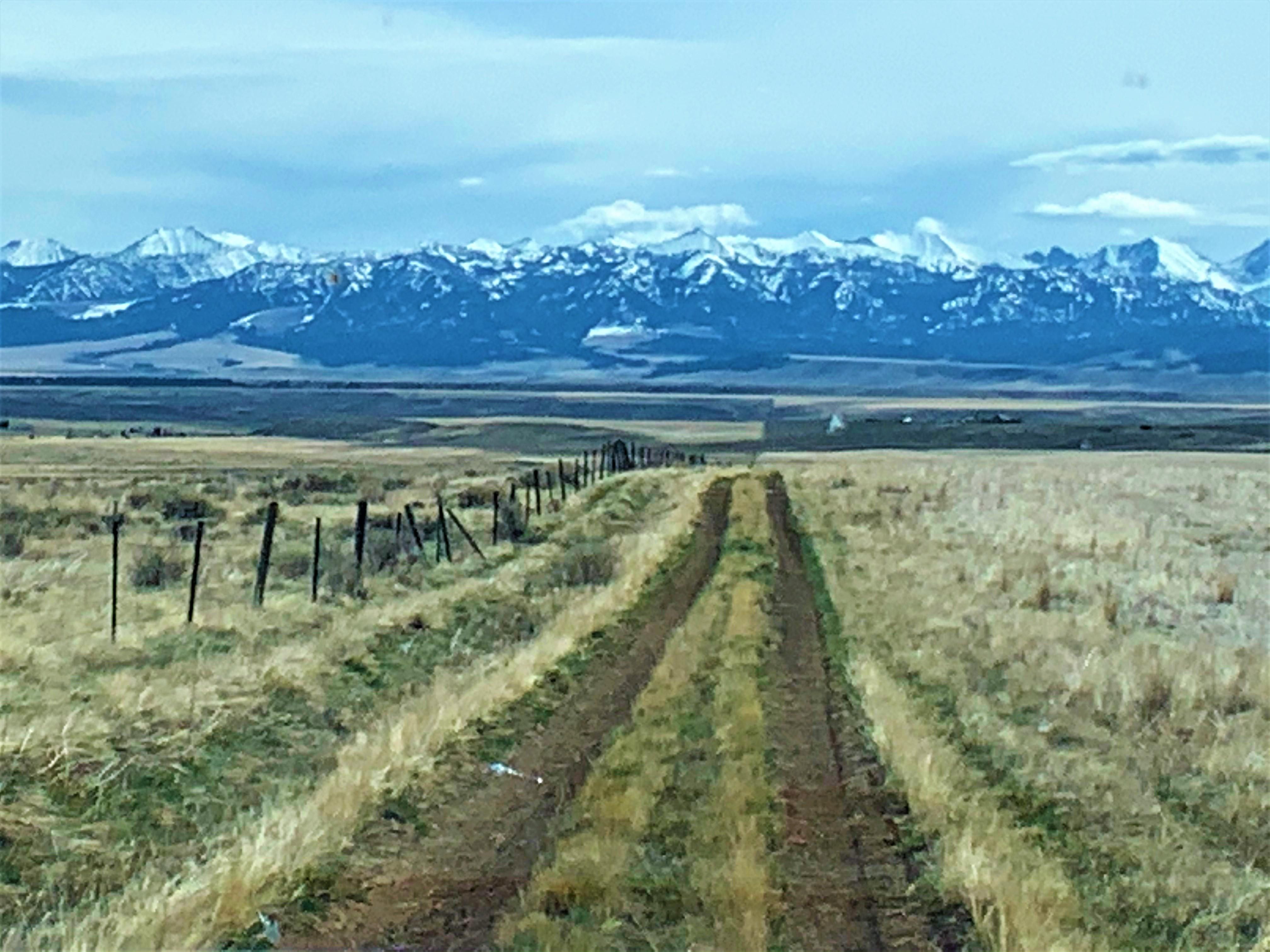 1,270 Acres, TBD Wall Rock Rd, Wilsall, MT 59086 | Land and Farm