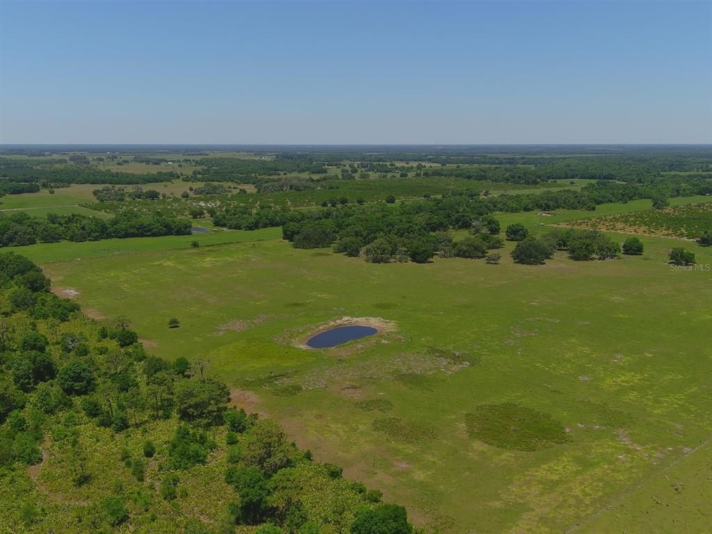 65.06 Acres, 2818 FISH BRANCH ROAD, Zolfo Springs, FL 33890 | Land and Farm