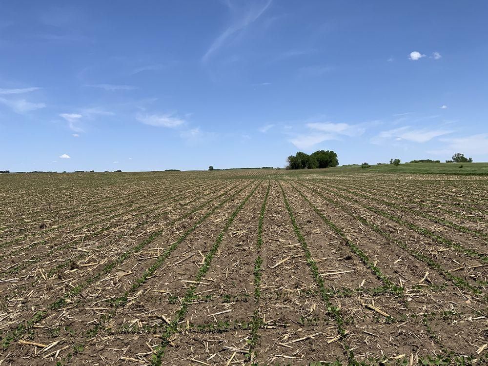 160 Acres, Wagner, SD | Land and Farm