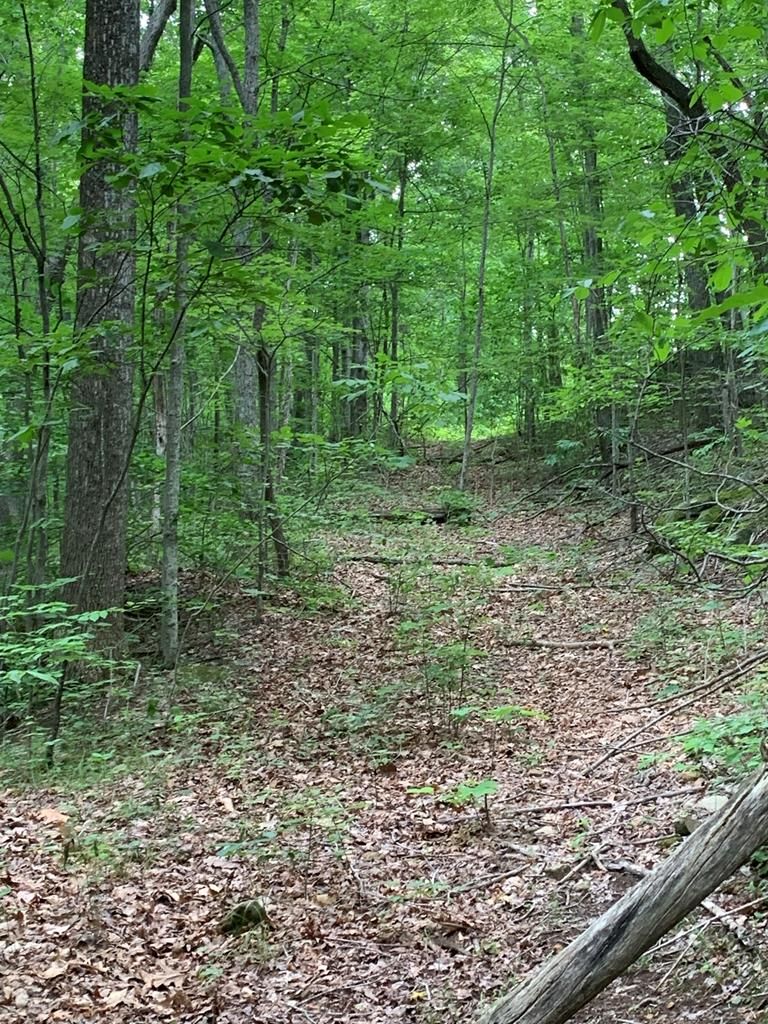 73 Acres, 00 Cooper Ridge Rd, Vanceburg, KY 41179 | Land and Farm