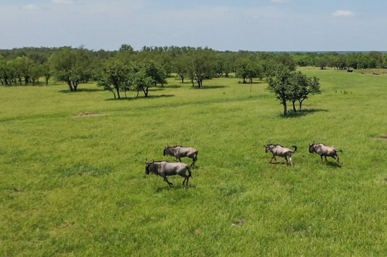 1,382 Acres, 9131 County Road 3477, Melvin, TX 76858 | Land and Farm