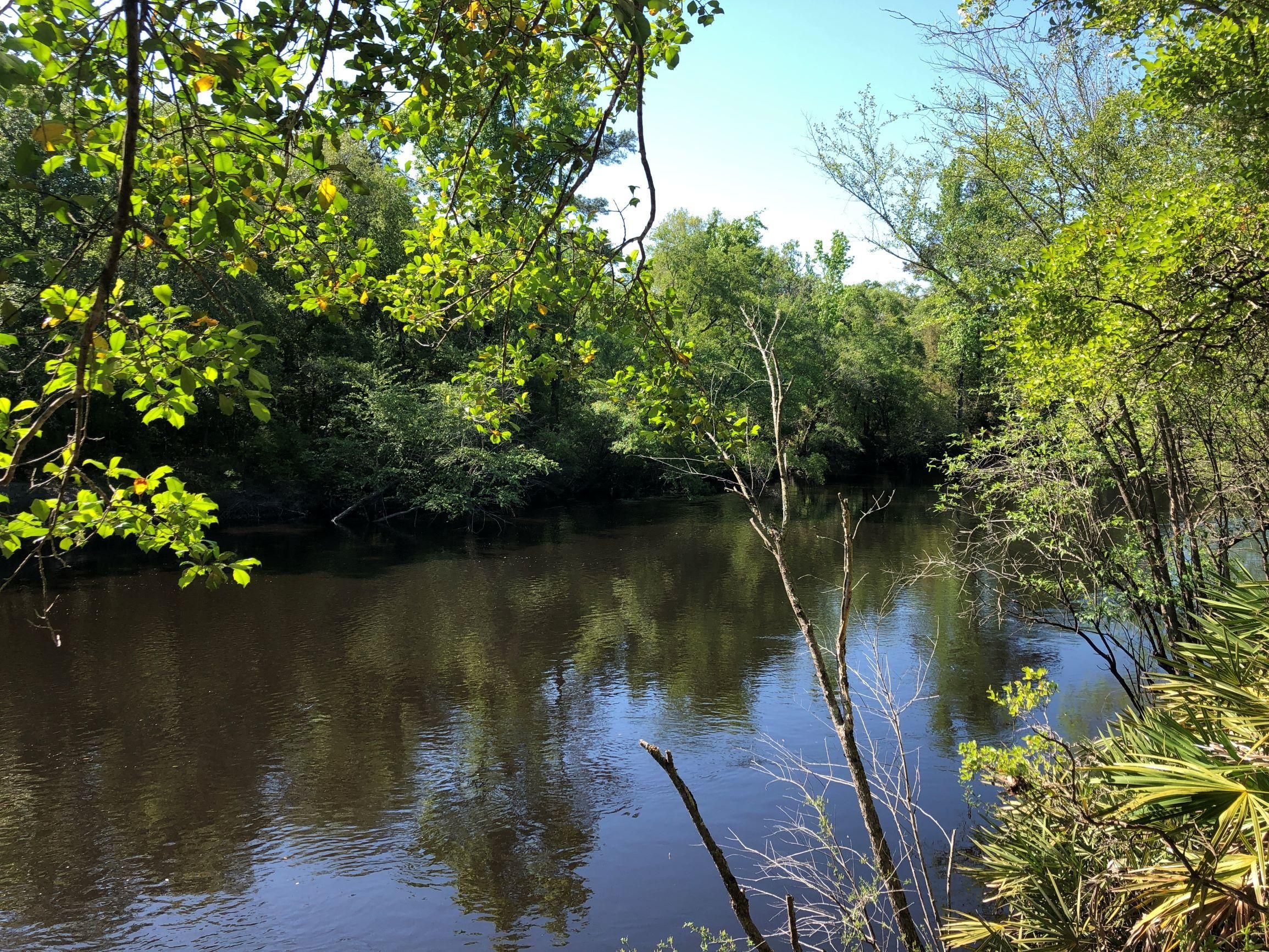 31.4 acres in Saint George, GA, 31537 | Land and Farm