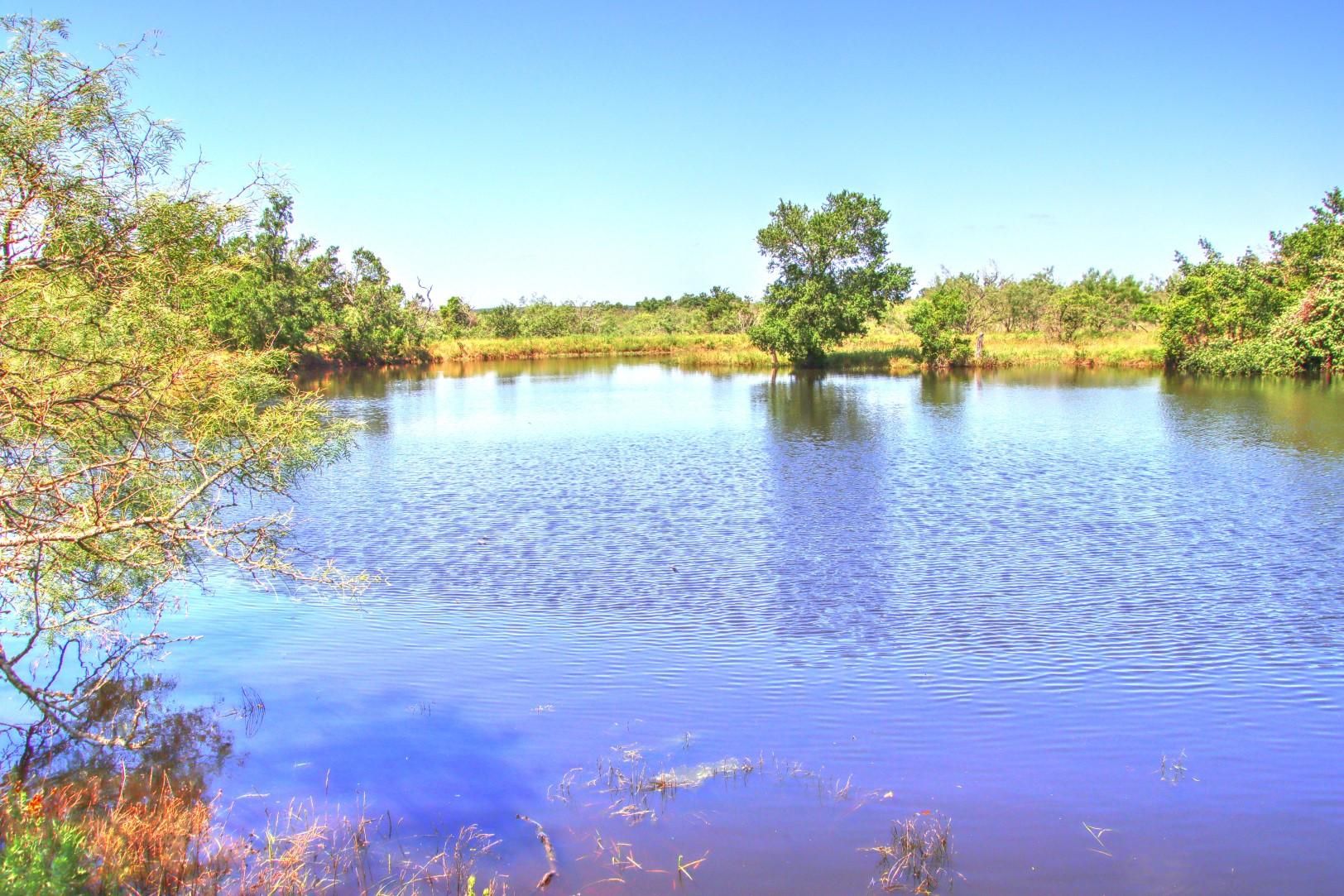 Ranch Road 1323, Willow City, TX 78675 | Land and Farm