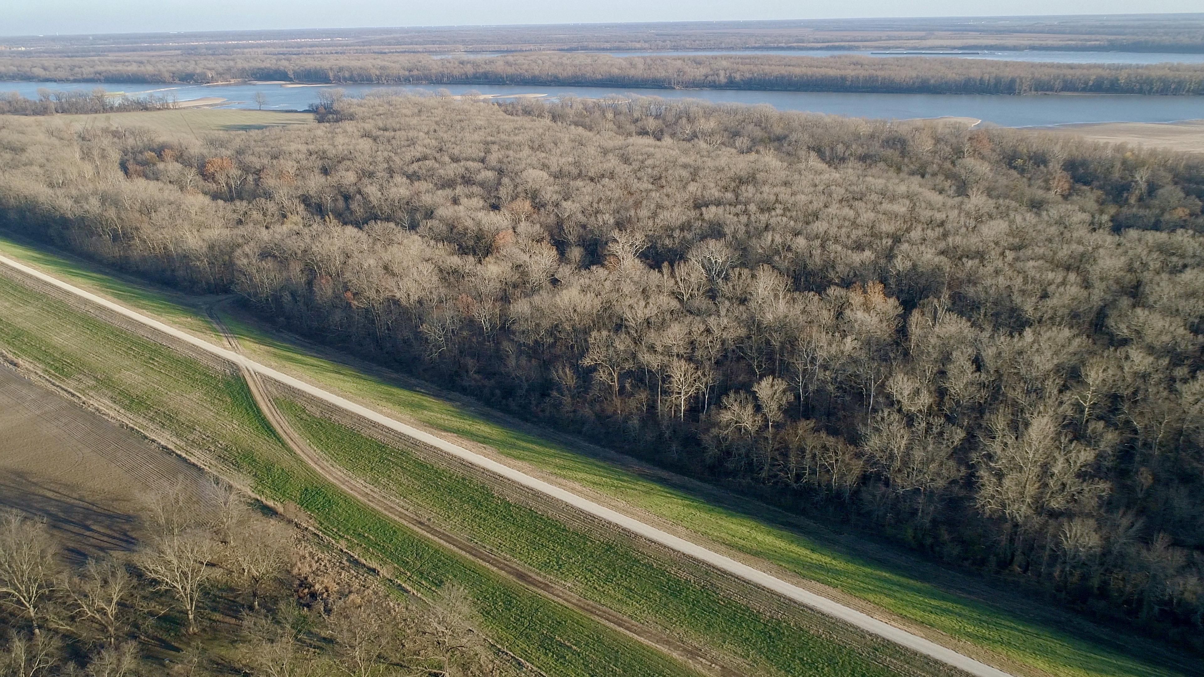 460 acres in Proctor, AR, 72376 | Land and Farm