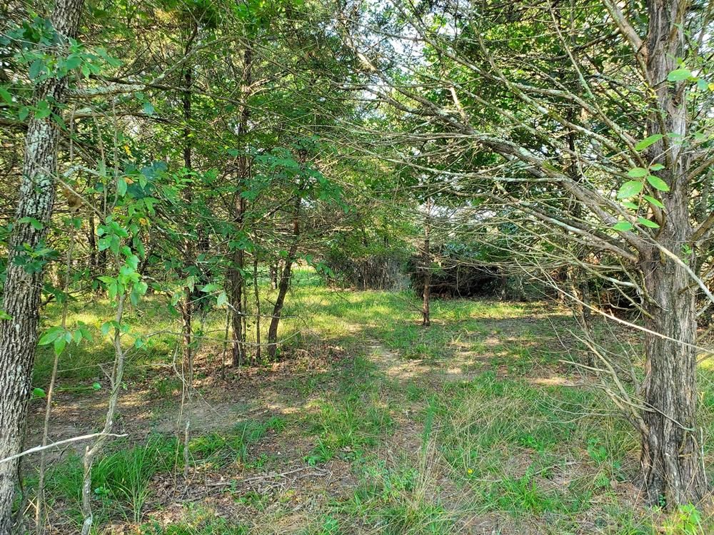 5.01 acres in Rattan, OK, 74562 | Land and Farm