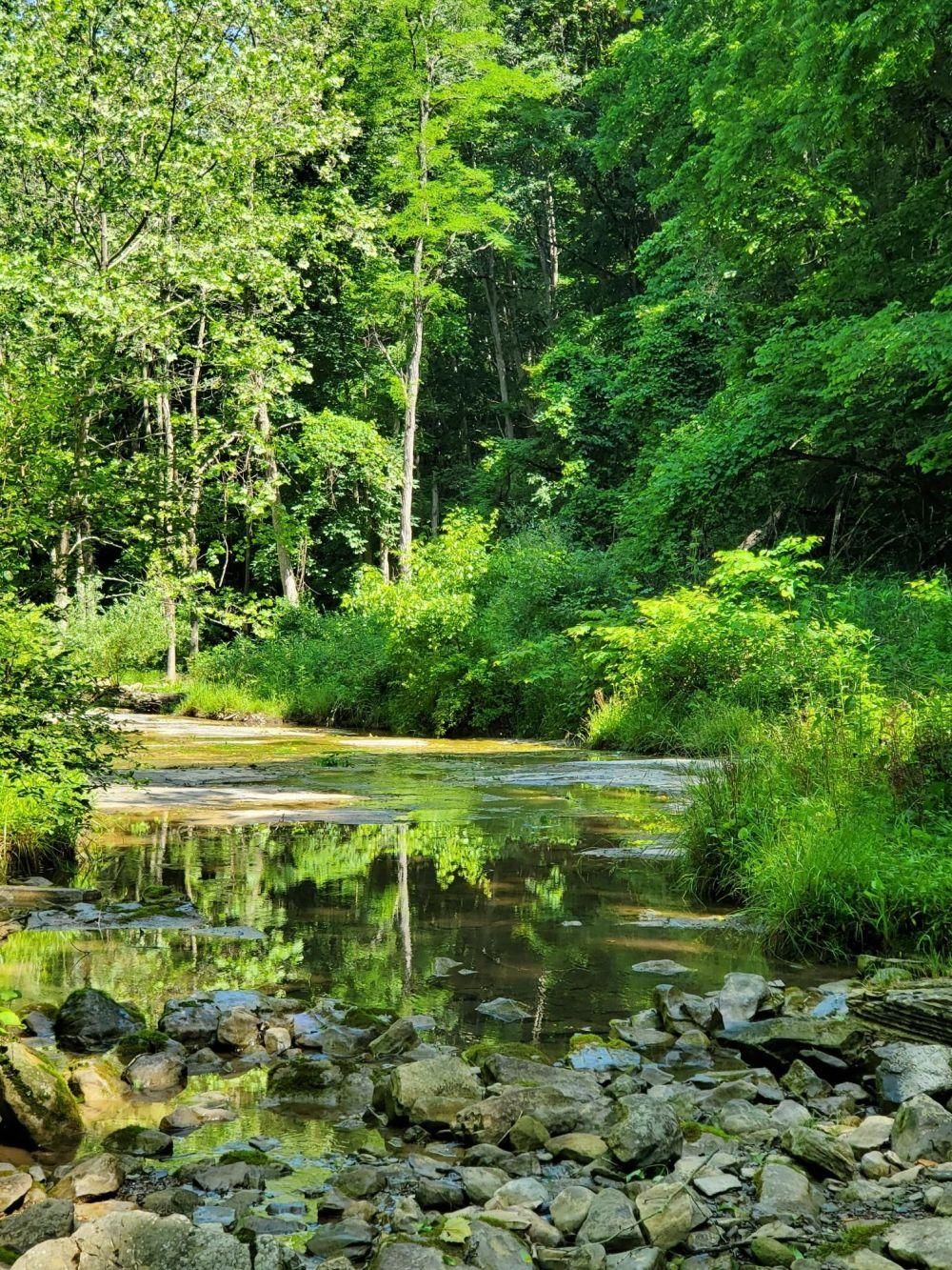 Broad Run Road, Sinks Grove, WV 24976 | MLS: BROAD RUN CREEK MINI-FARM ...