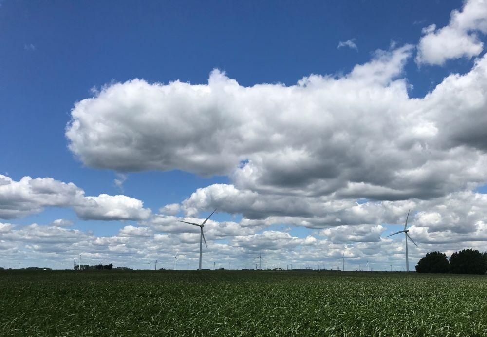 115.66 acres in Bolan, IA, | Land and Farm