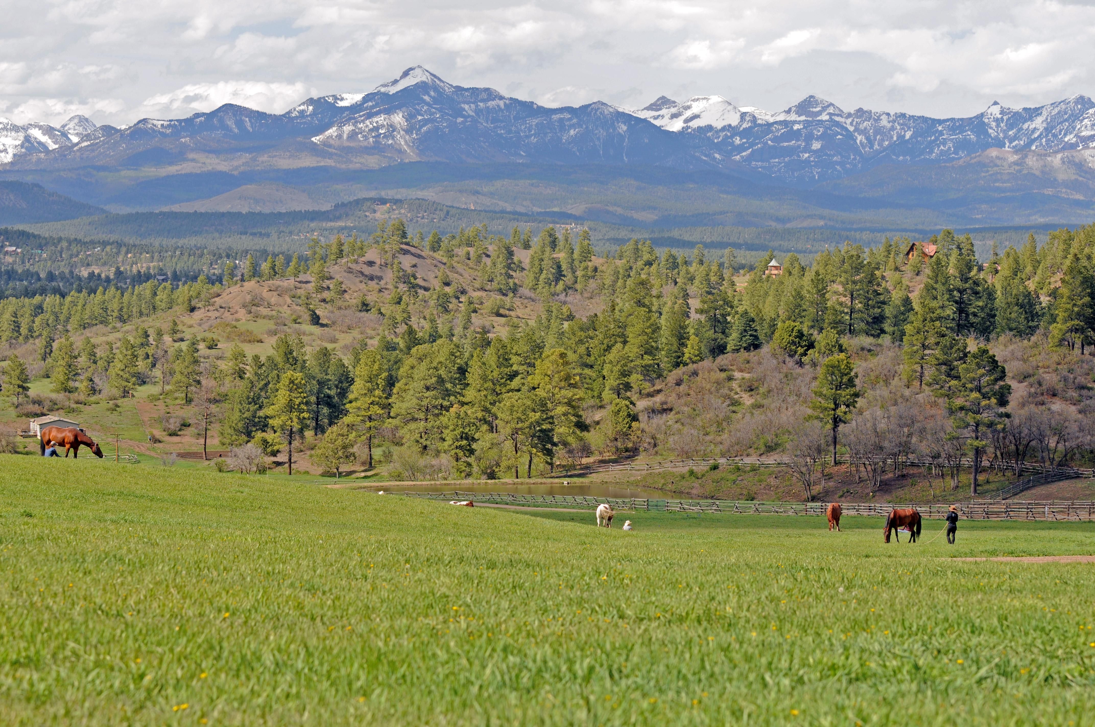 1134 Parelli Institute Drive, Pagosa Springs, CO 81147 | MLS: 784132 ...