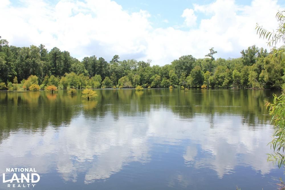 0 Highway 41, Jamestown, SC 29453 | Land and Farm