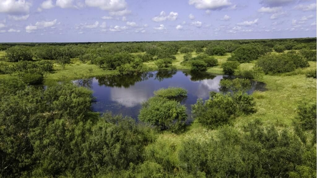 El Rucio Road, Linn, TX 78542 | Land and Farm