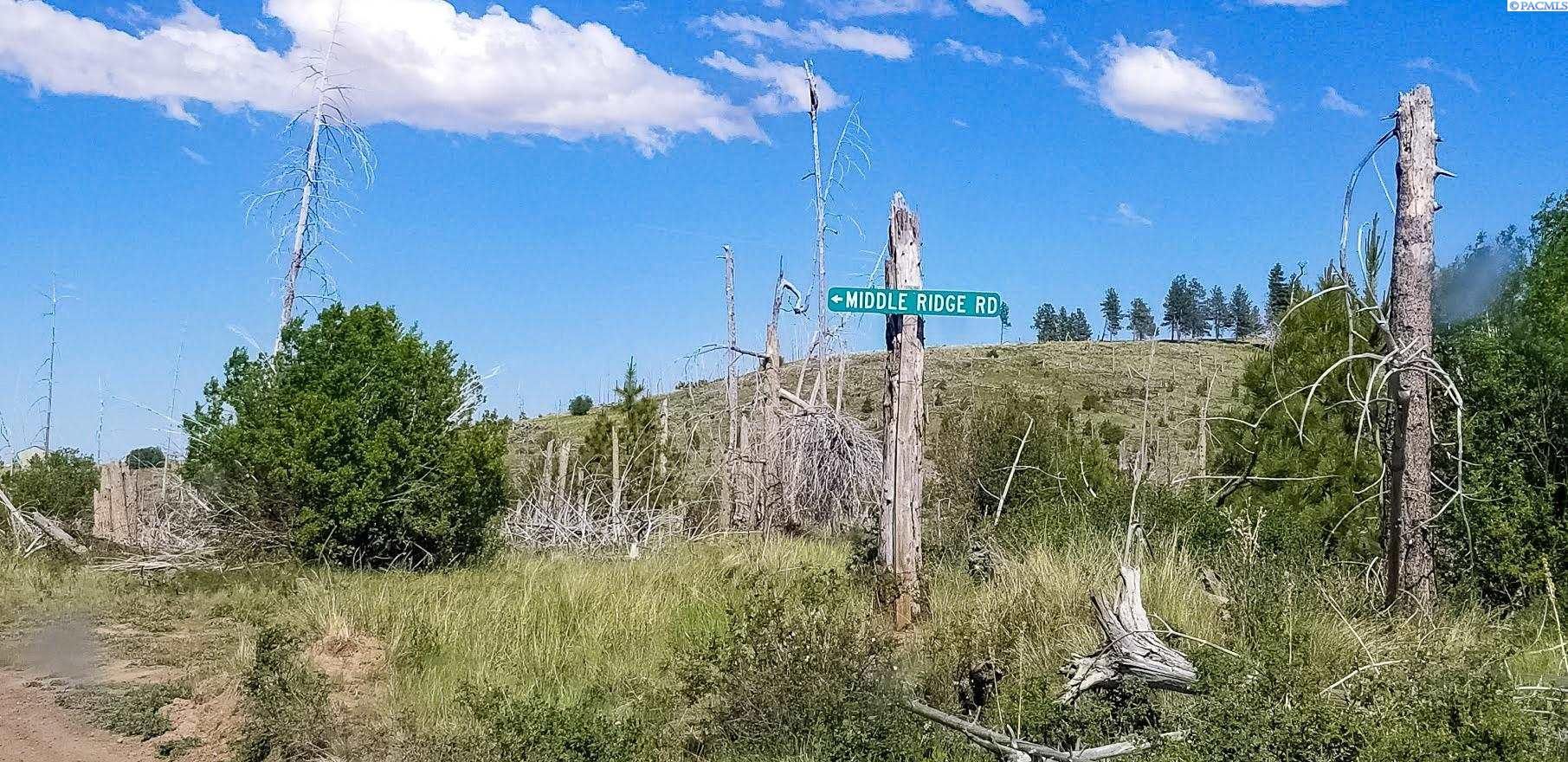 10.29 Acres, Tbd Dry Pataha Creek, Pomeroy, WA 99347 | Land and Farm