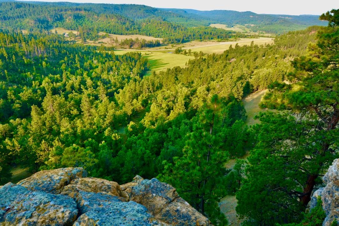 3122 State Highway 24, Aladdin, WY 82710 | MLS: 21-1309 | Land and Farm