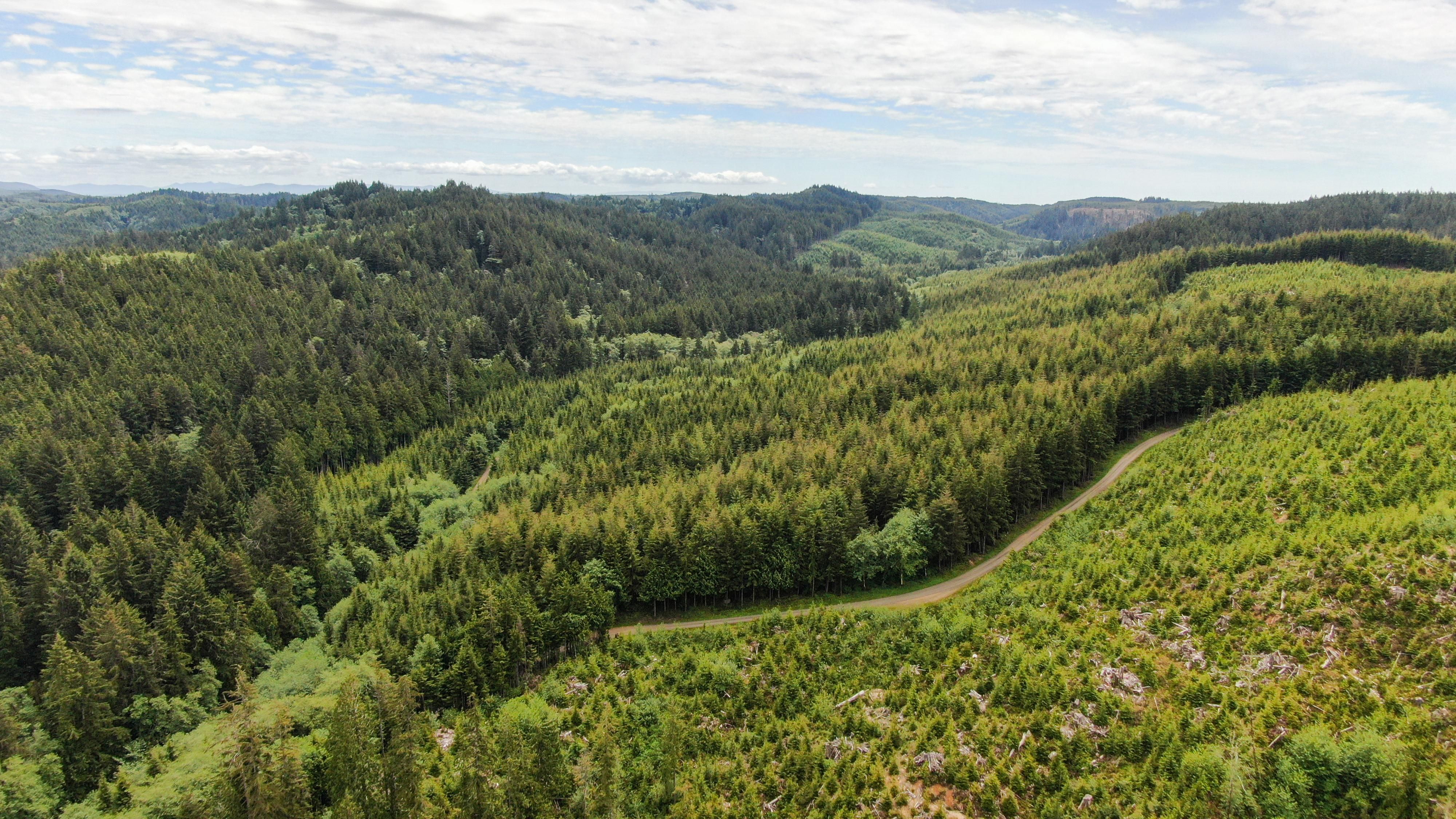 2,458 Acres, Grayland, WA 98547 | Land and Farm