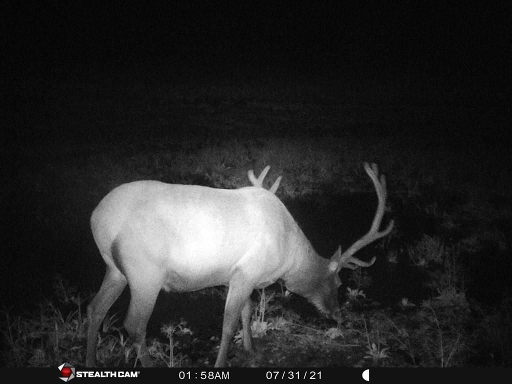 tbd Highway 330 E, Collbran, CO 81624 | Land and Farm