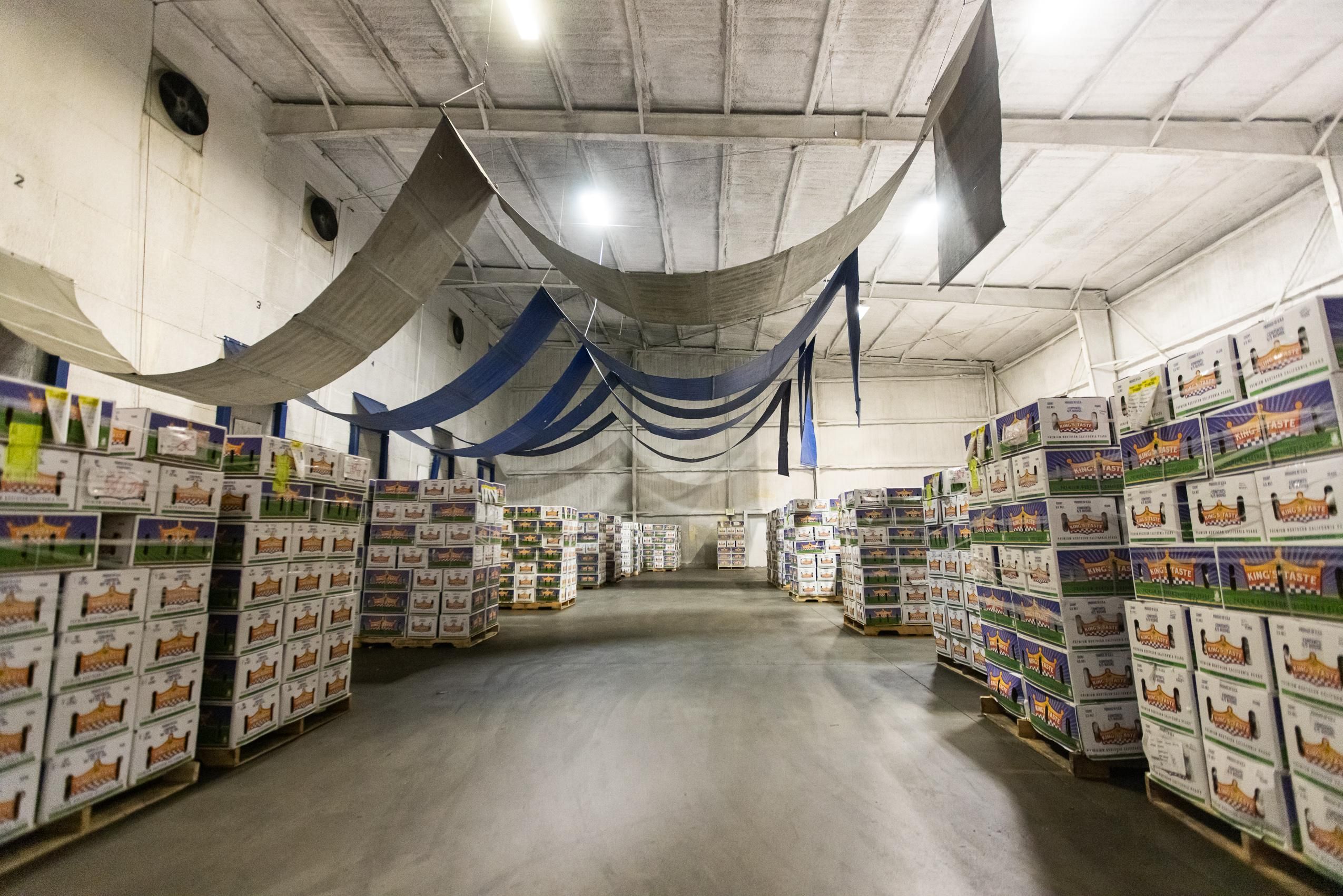 787 E Dinuba Ave, Reedley, CA 93654 | Land and Farm