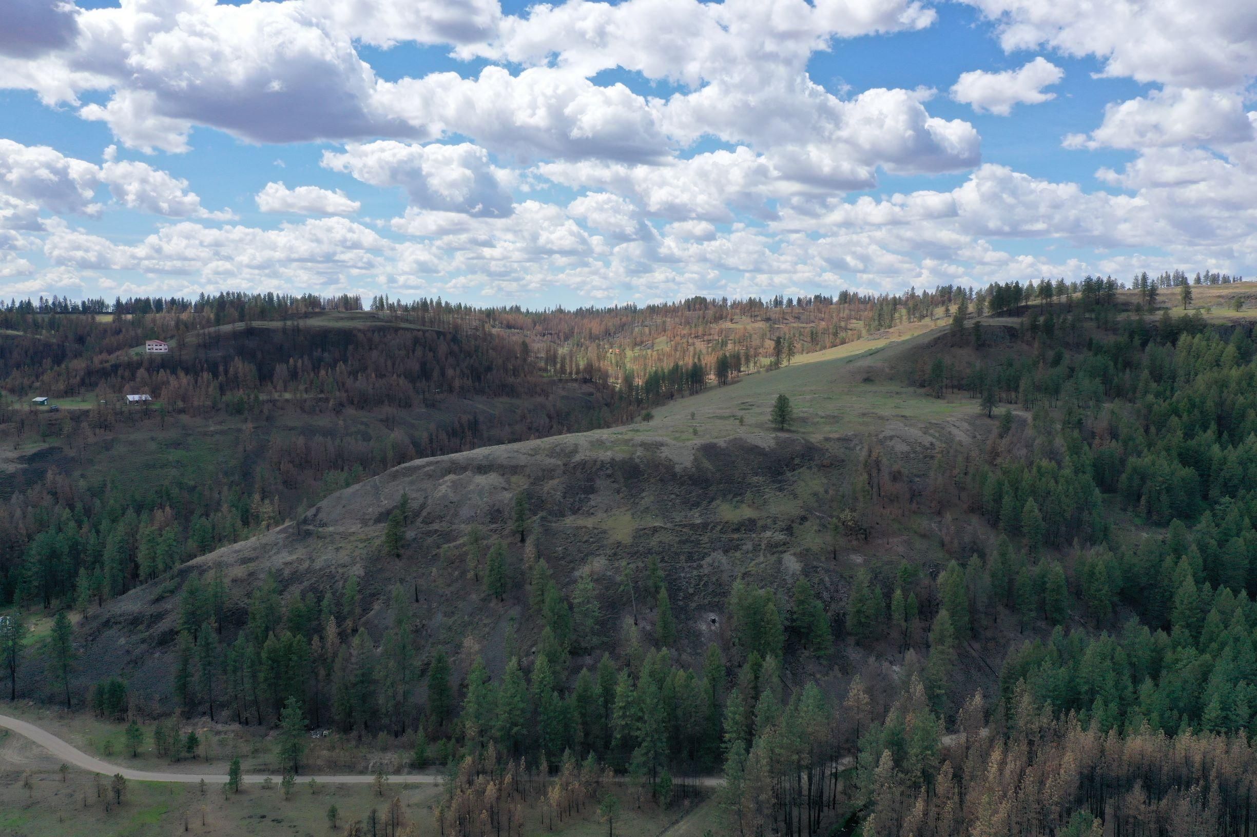 Hawk Creek Ranch Road North, Davenport, WA 99122 | Land and Farm