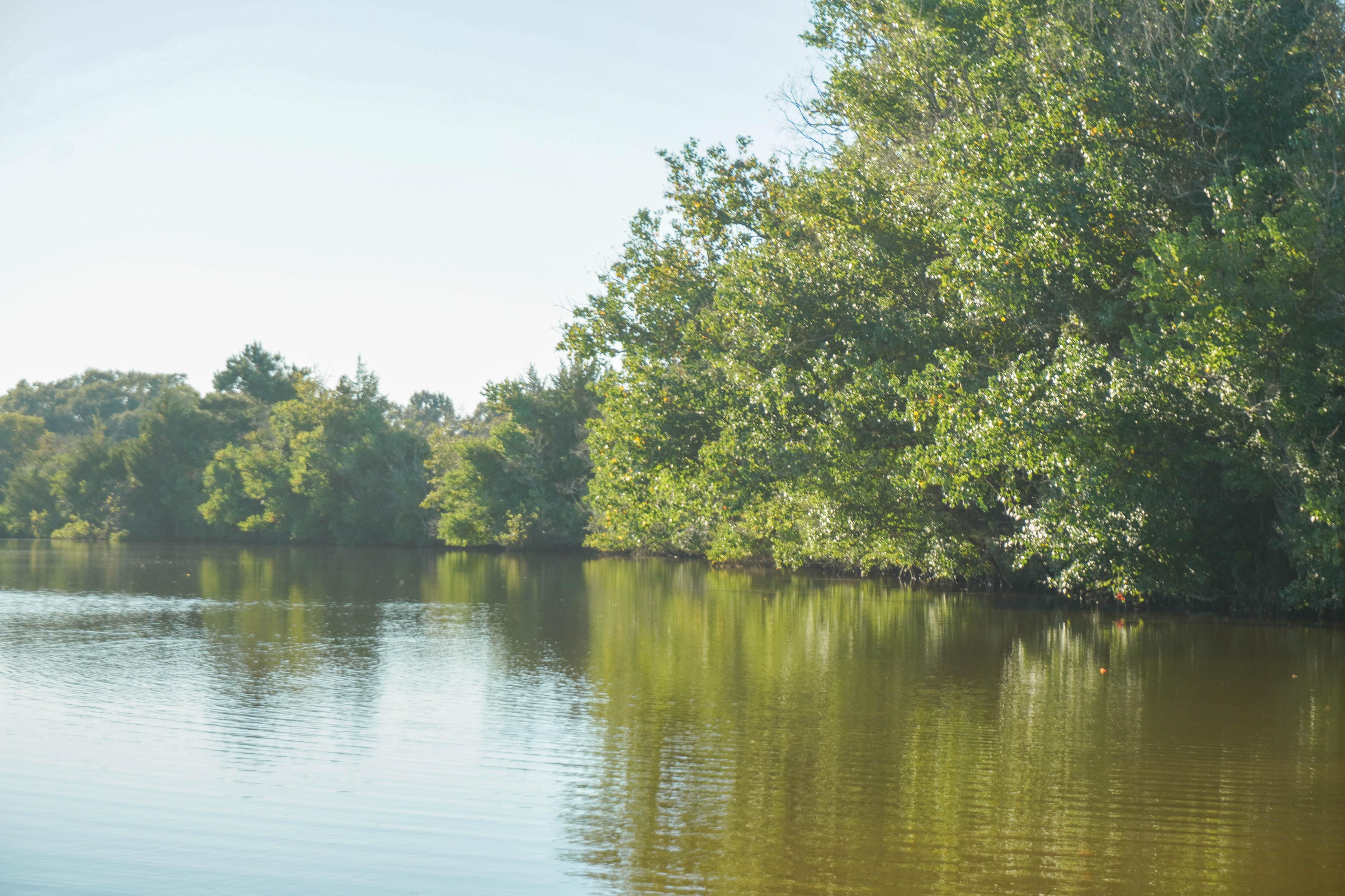 43 acres in Timpson, TX, 75975 | Land and Farm