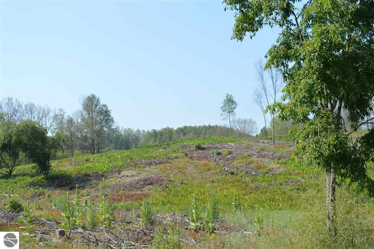 10 Acres, A E 16 Mile Road Road, Reed City, MI 49677 | Land and Farm