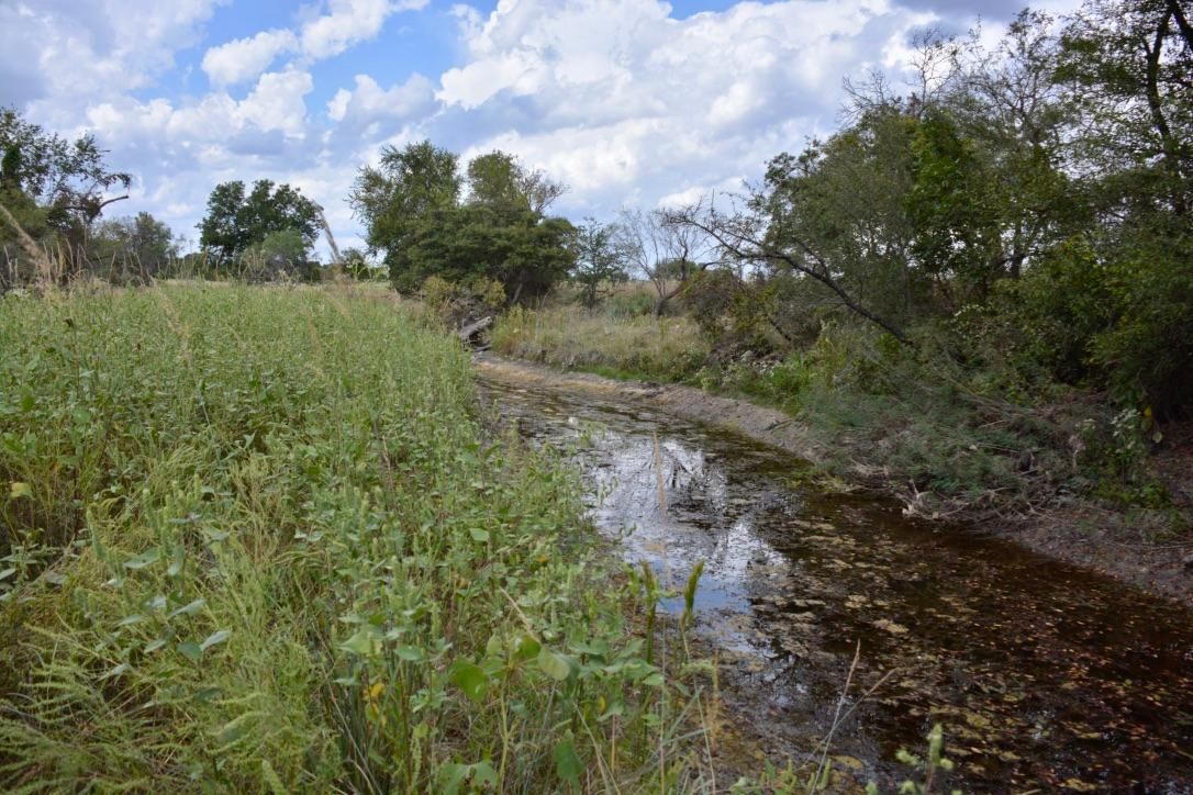 165 County Road 262, Priddy, TX 76442 | Land and Farm