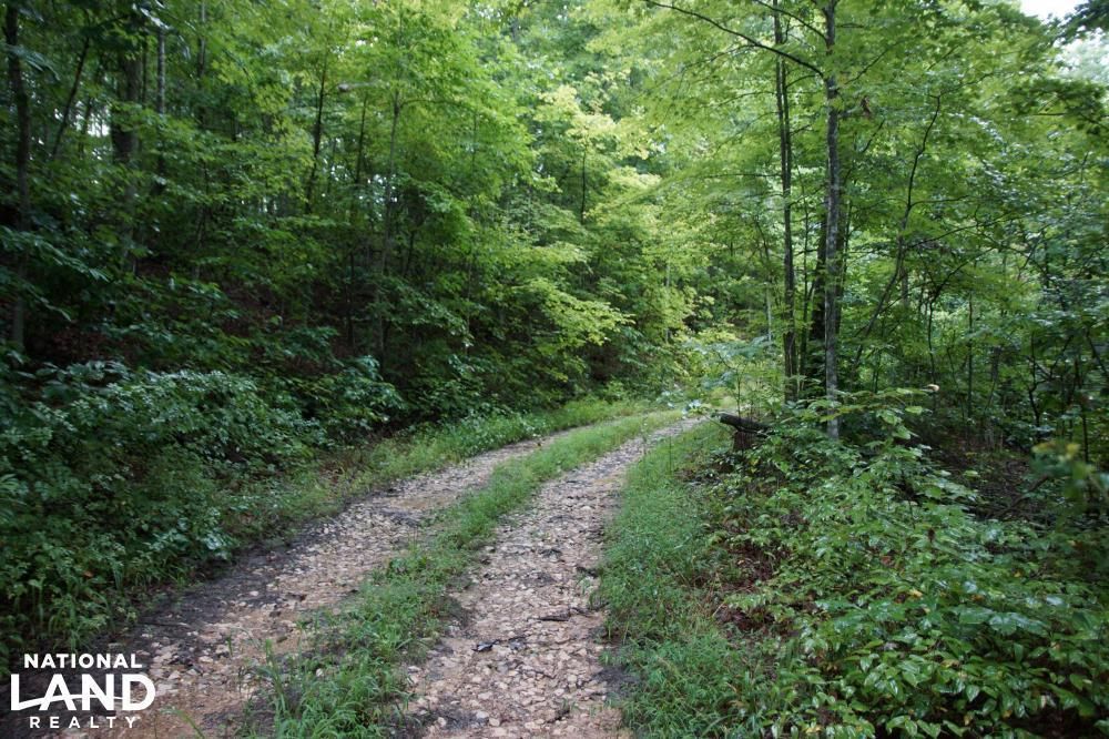 0 Spencer Ridge Road, Beattyville, KY 41311 | Land and Farm