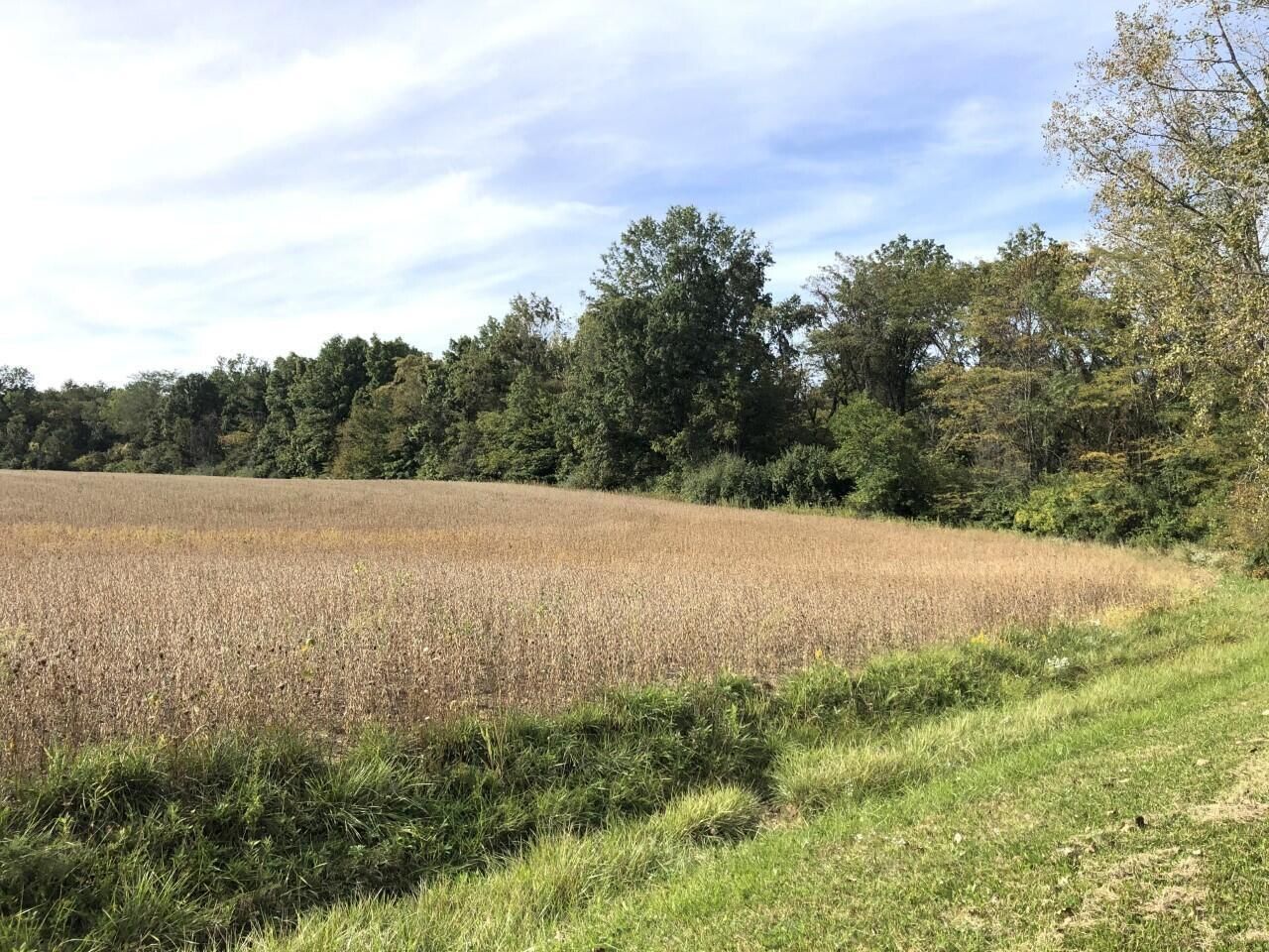 87 Acres, 0 Beard Road, Sunbury, OH 43074 | Land and Farm