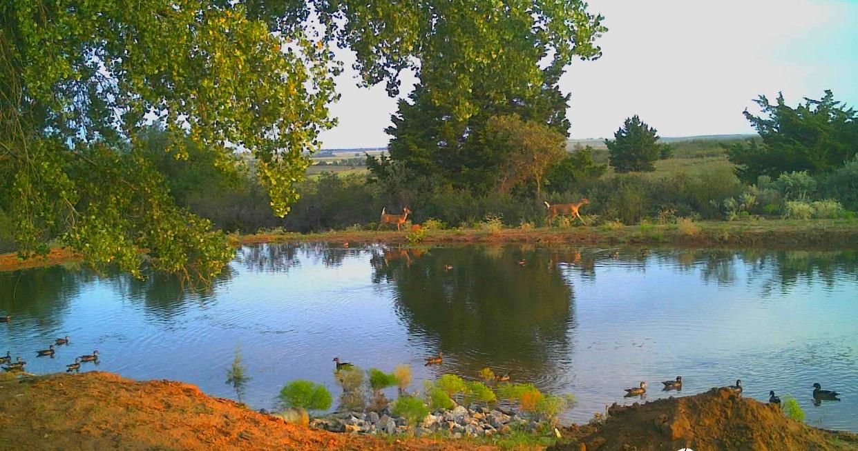 157.87 acres in Shamrock, TX, 79079 | Land and Farm