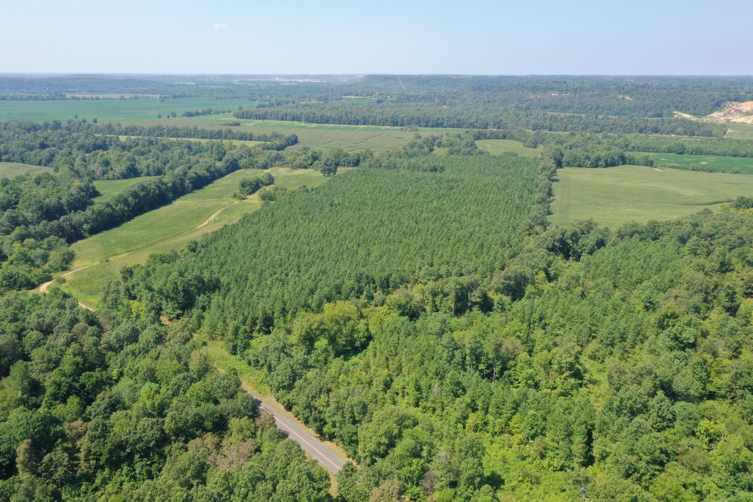 Cedar Grove Road Lot #WP001, Salem, KY 42078 | Land and Farm