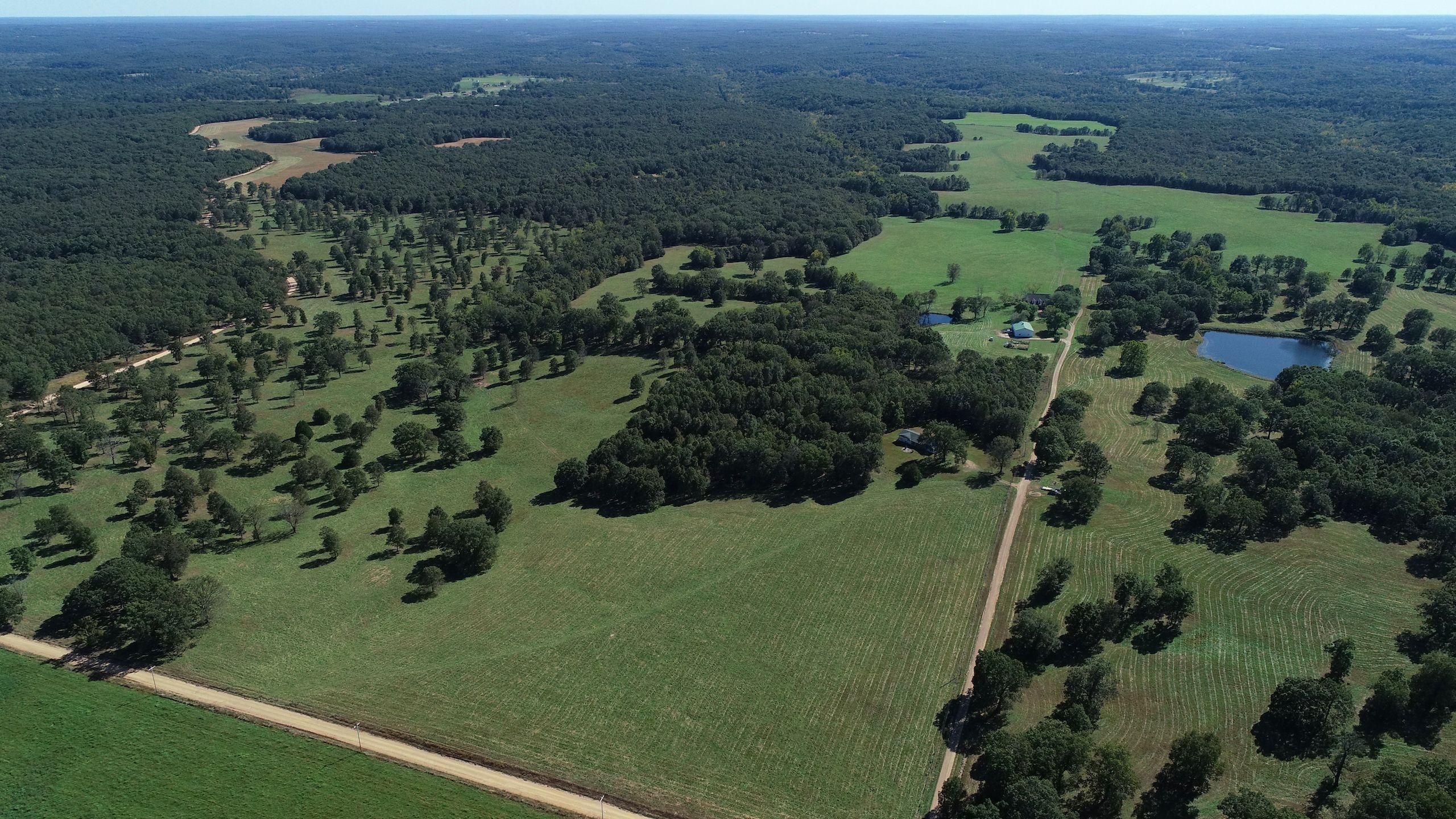 35996 County Road 10, Lot #WP001, Cross Timbers, MO 65634 | Land and Farm