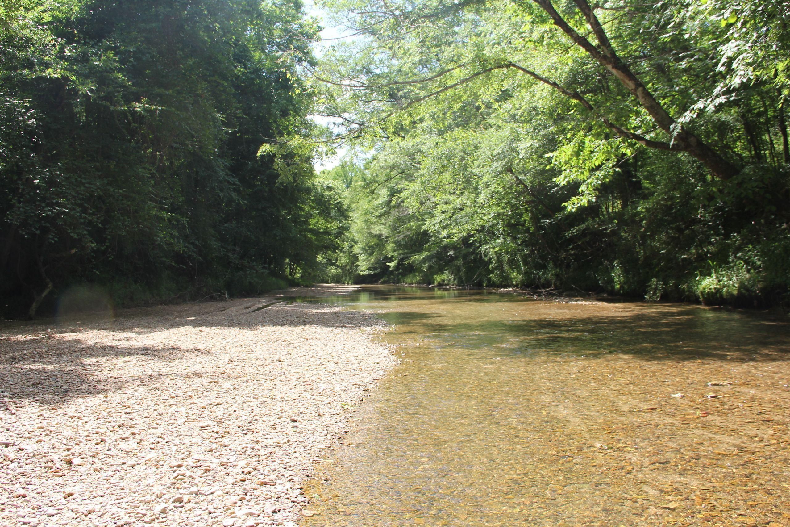 Phares Road, Roxie, MS 39661 | Land and Farm