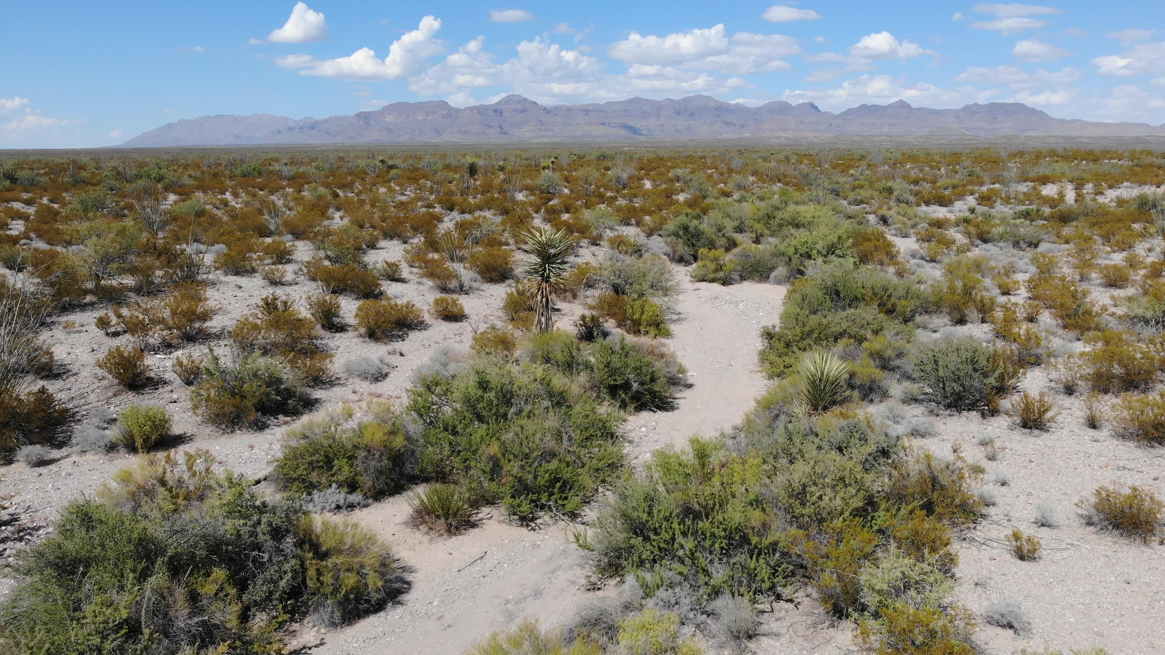 20 acres in Presidio, TX, 79845 | Land and Farm