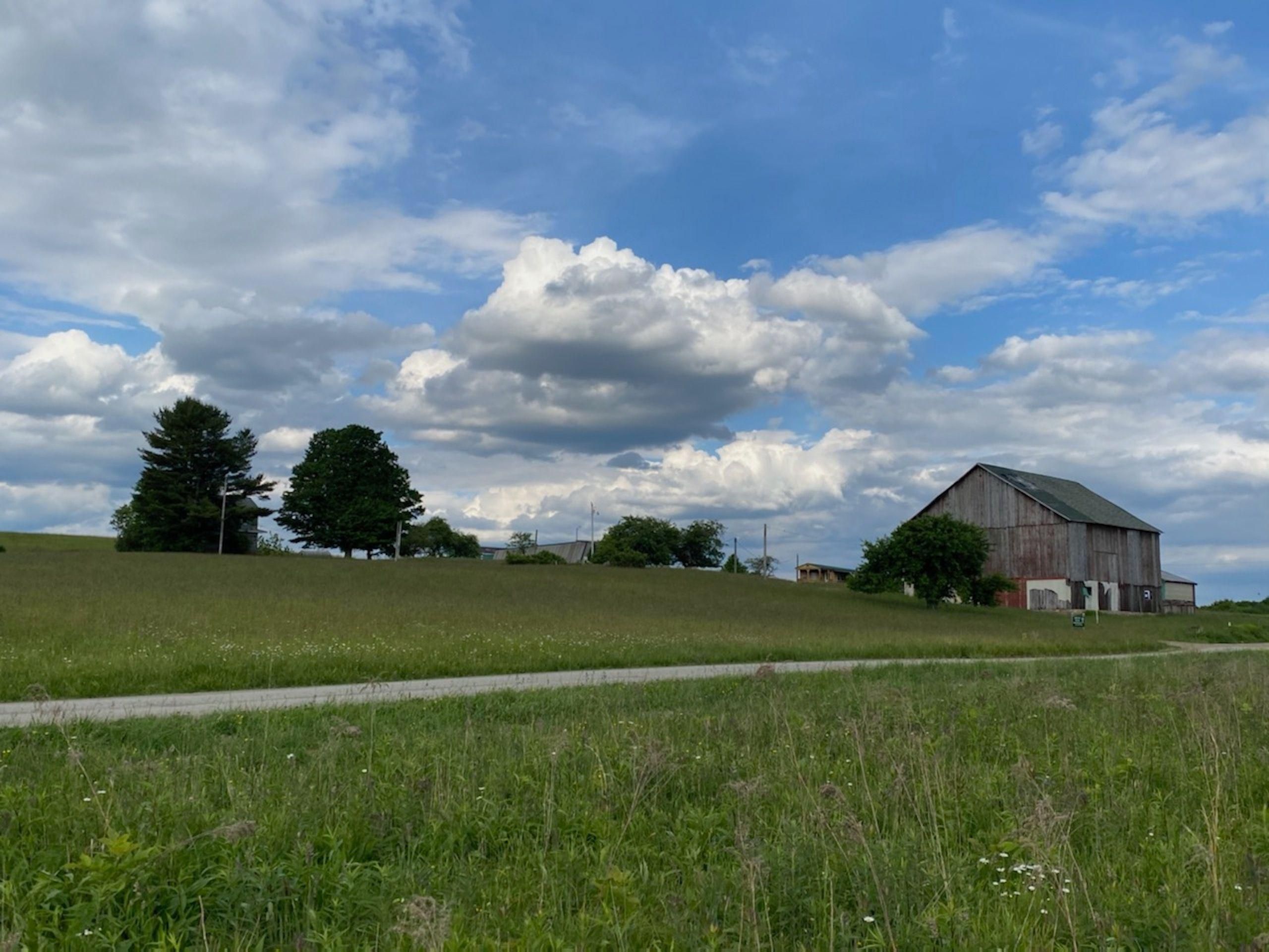 439 Splash Dam Rd, LOT#WP001, Mahaffey, PA 15757 | Land and Farm